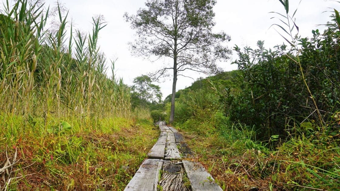 A Practical Guide to the Shinetsu Trail | Beat the Trail